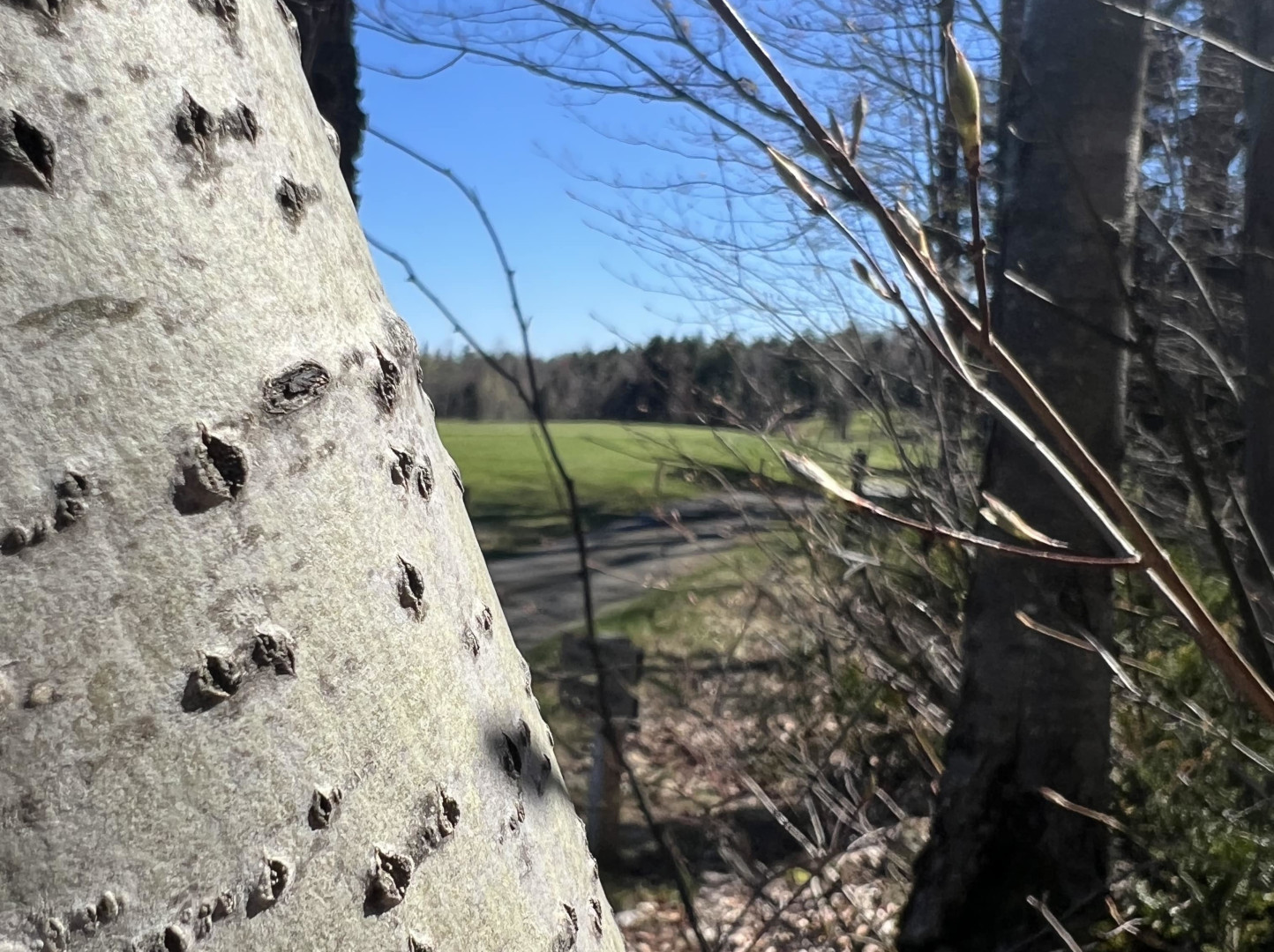 Greywalls Course Overview – Marquette Golf Club – Marquette, MI
